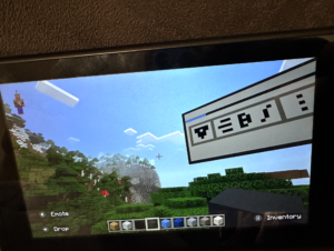 WordPress for Minecraft leaked | WP BizDev